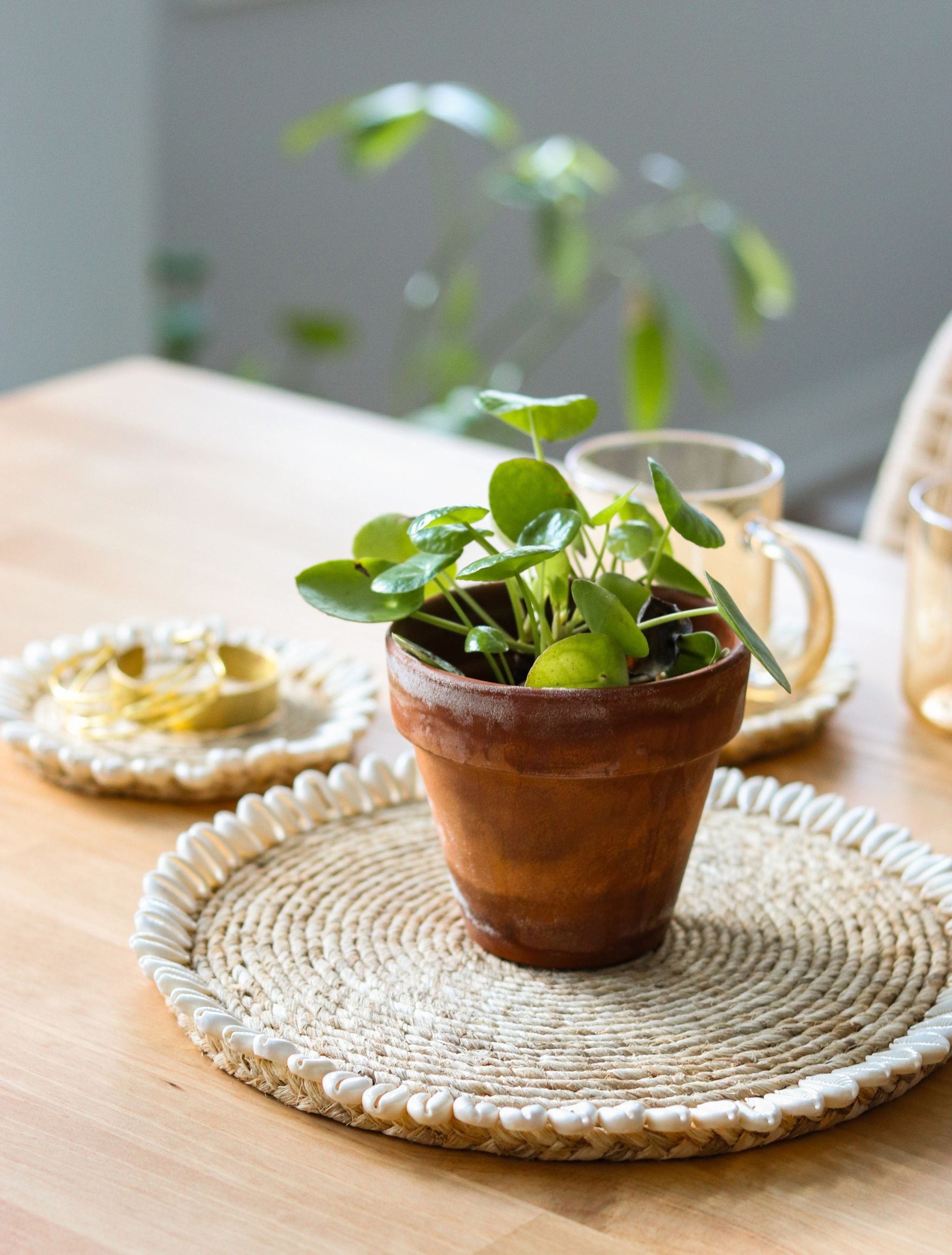 Banana Fibre Placemats with Cowrie Shells– Masala Chai